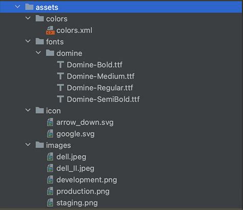 Assets Generated Dynamically In Flutter Flutterexperts