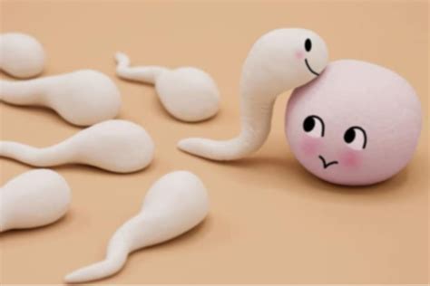 Tahan Lebih Lama Ketika Hubungan Seksual Apa Petuanya