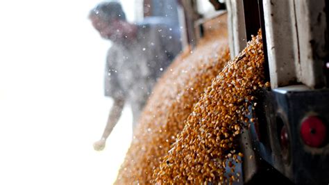 China Tariffs On Us Commodities Beijing May Struggle For Alternatives