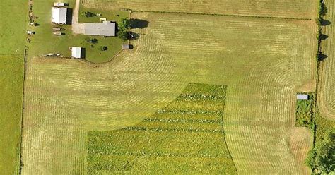 Compiled Drone Photos In Webodm Album On Imgur