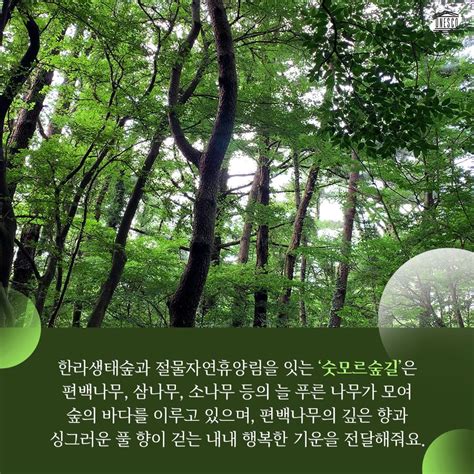 제주세계자연유산센터 한라산 식생의 축소판이라 불리는 한라생태숲 ⠀ 사시사철 각기 다른 매력을 뽐내는