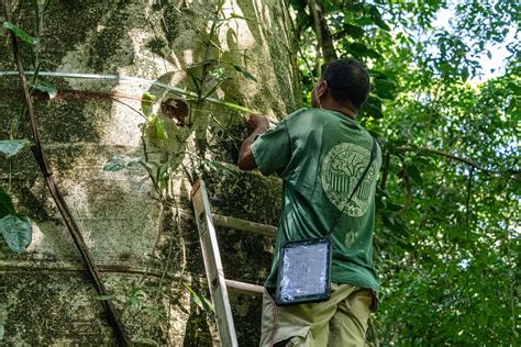 Carbon Verification Smithsonian Tropical Research Institute