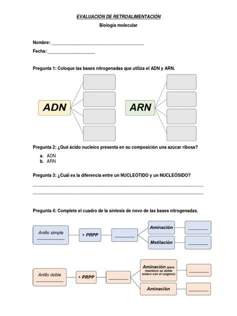 Evaluación Biología Molecular Final Pdf