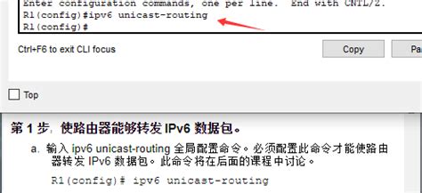 Cisco Ipv Ipv Verify Ipv And Ipv Addressing Csdn