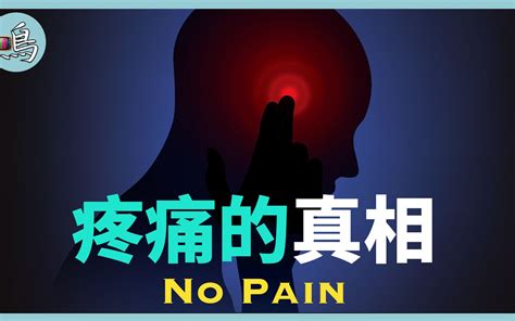 疼痛的本质，人为什么会感到疼痛，疼痛是好事还是坏事？ 老鸣tv 老鸣tv 哔哩哔哩视频