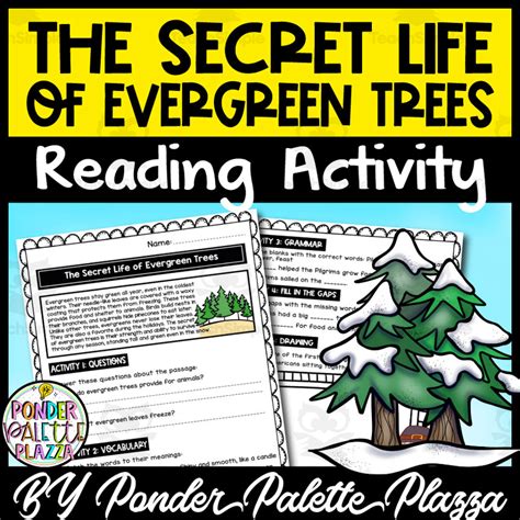 The Secret Life Of Evergreen Trees Reading Comprehension Passage By