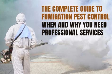 The Complete Guide To Fumigation Pest Control When You Need