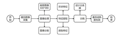 【农业精选】vfnet＆varifocal loss改进yolov5：番茄成熟度检测系统 基于yolo的温室番茄检测与姿态分类算法研究 csdn博客