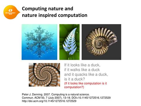 Ppt Modeling Life As Cognitive Info Computation Powerpoint