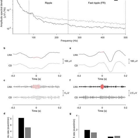 Scalp HFO Rate Mirrors Seizure Frequency Scalp EEG Recordings Before Download Scientific