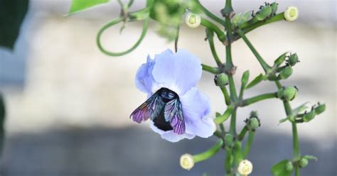 Lms Potential Best Elearning Platforms For Seamless Integration