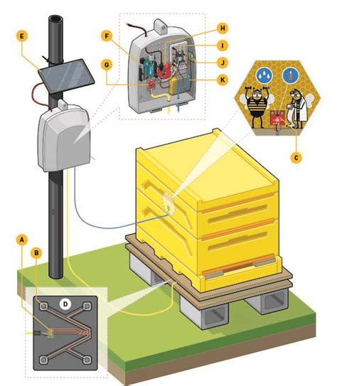 The BeeHive Topic Use Cases The Things Network