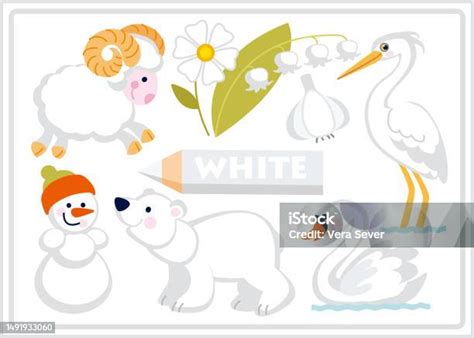 색상 학습을 위한 화이트 컬러 만화 삽화 아이들을 위한 귀여운 흰색 물건 숫양 양 왜가리 백조 북극곰 은방울꽃 카모마일 마늘 눈사람 0명에 대한 스톡 벡터 아트 및 기타