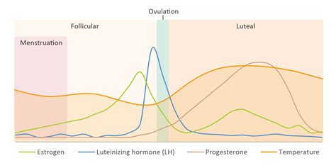 How The Femometer Ring Tracks The Menstrual Cycle Through Finger