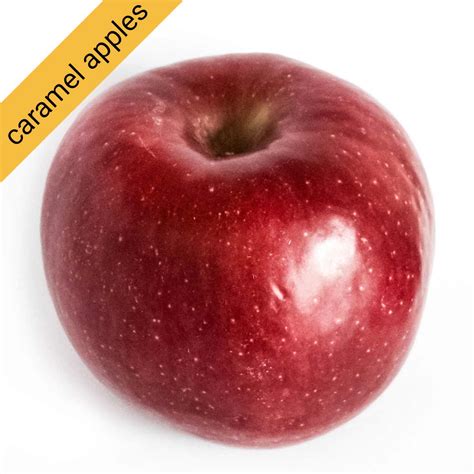 Easy Homemade Caramel Apples Ask The Food Geek