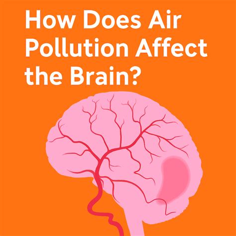 How Does Air Pollution Affect The Brain