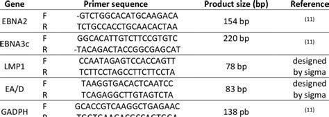 the primers used along with sequence and amplicon size download