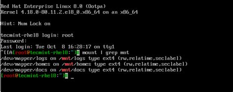 How To Encrypt Disks With Parted And SSM In Linux Part 8