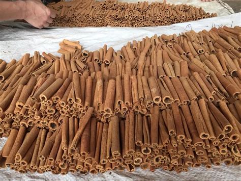Vietnam Spices Cinnamon Stick Split Cassia Sticks Long Size 2 40cm Top
