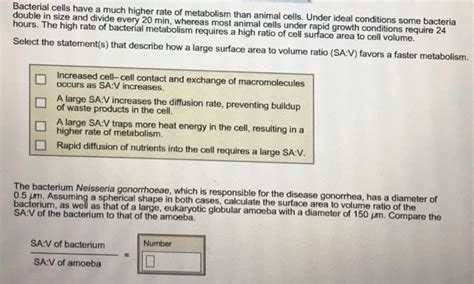 Solved Can You Help Me With These Two Questions Please Chegg
