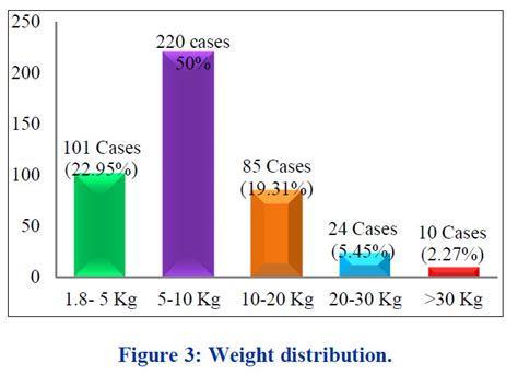 Device Closure Of Patent Ductus Arteriosus Congenital Heart Desk