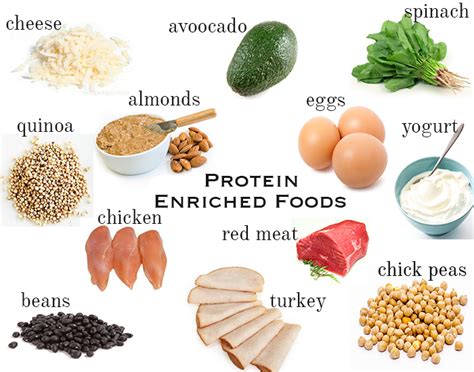 Protein Foods List For Weight Loss