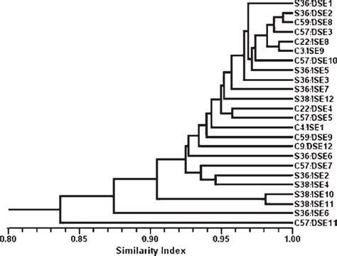 Dendrogram Showing Similarity Between Se Derived Plants With Direct Download Scientific Diagram