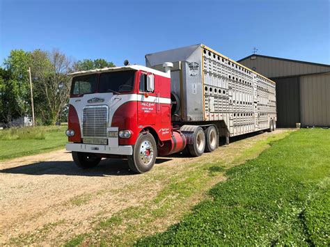 Randy Goebel Sent In These Torpedo Teddys Horn Honkers