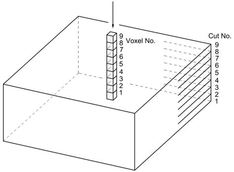 2d Processing Of A Series Of Optical Cuts Download Scientific Diagram