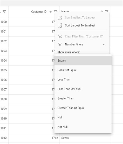 Syncfusiondatagrid Grid Page Selector And Text Filter Window