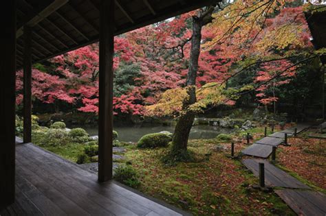 蓮華寺 紅葉④ by marbo papa ID11455175 写真共有サイト PHOTOHITO