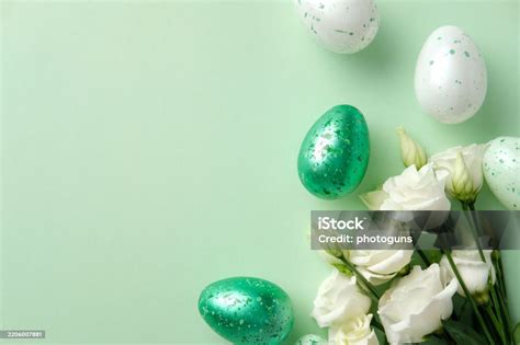부활절 플랫 레이 구성 녹색과 흰색 얼룩덜룩 한 달걀 파스텔 녹색 배경에 흰색 봄 꽃 4월에 대한 스톡 사진 및 기타 이미지