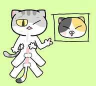 Post Gua Zi Hua Juan When History Meows