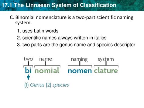 Class Notes 2 Classification Ppt Download