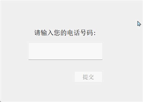 【qt学习】qlineedit 控件 属性与实例（登录界面，验证密码，正则表达式）qlineedit输入密码 Csdn博客