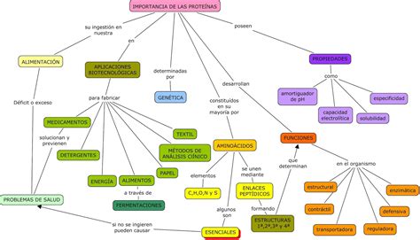 Mapa Conceptual Simple De Proteinas