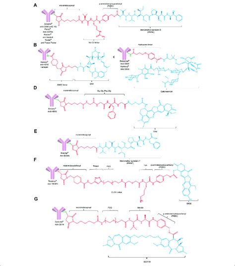 General Structures Of Adc Are Approved By The Fda A Adcetris