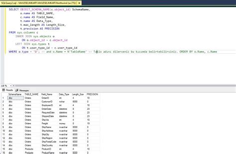 SQL Serverda Bir Tablonun Tüm Kolon Bilgilerini Listelemek SQL