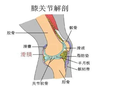 善式关节健康专家膝关节这6种现象不能大意 知乎