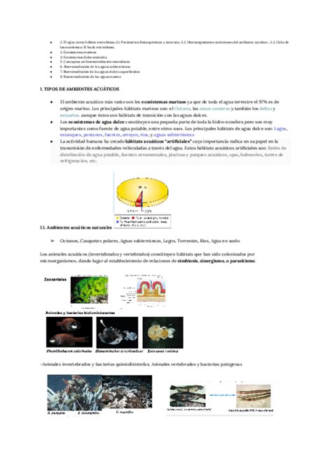 Micro Apuntes Clase T T Segunda Parte Pdf