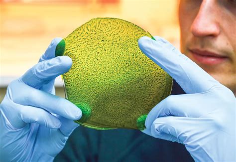 What Is Artificial Leaf At Toby Victor Blog