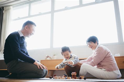 작은 손자와 함께 나무 빌딩 블록을 재생 거실에서 바닥에 앉아 즐거운 아시아 조부모 가족에 대한 스톡 사진 및 기타 이미지 가족 손자 조부모 Istock