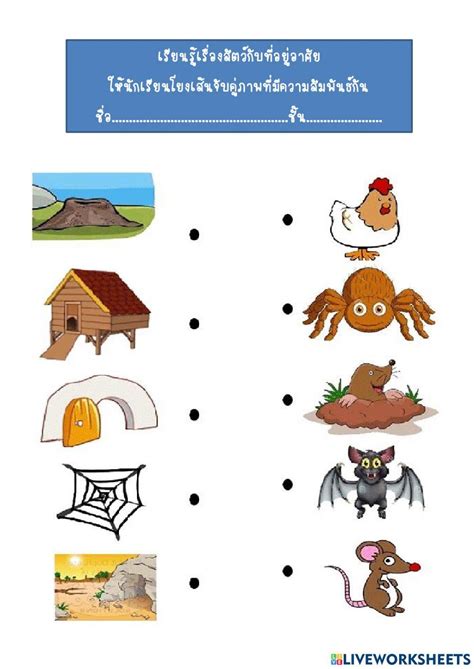 เรียนรู้เรื่องสัตว์กับที่อยู่อาศัย Worksheet Live Worksheets