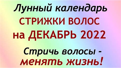 Лунный календарь СТРИЖКИ волос на ДЕКАБРЬ 2022 Благоприятные и неблагоприятные дни Youtube