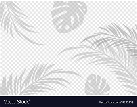 Translucent Shadow Effects Royalty Free Vector Image