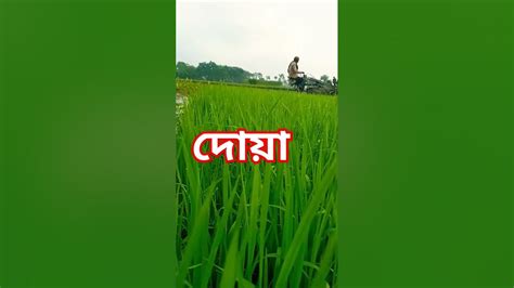 দোয়াটি ২১বার পাঠ করলে আল্লাহ্ সকল চাওয়ার পূরণ করবেyoutubeshorts