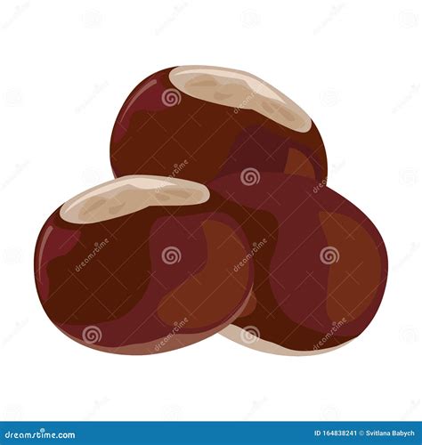 板栗矢量图图标 白背景栗色中突显的动画矢量图图标 向量例证 插画 包括有 食物 图标 向量 果子 164838241