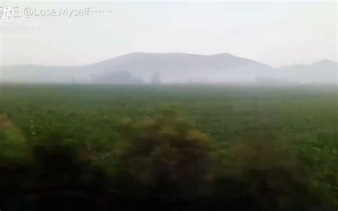 第一次去上海途中 哔哩哔哩 bilibili