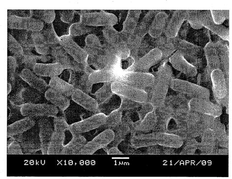 Optimization Method Of Culture Conditions Of Alkaline Pectinase Gene