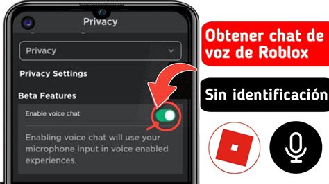 Cómo Obtener Chat De Voz De Roblox 2024 Cómo Habilitar El Chat De